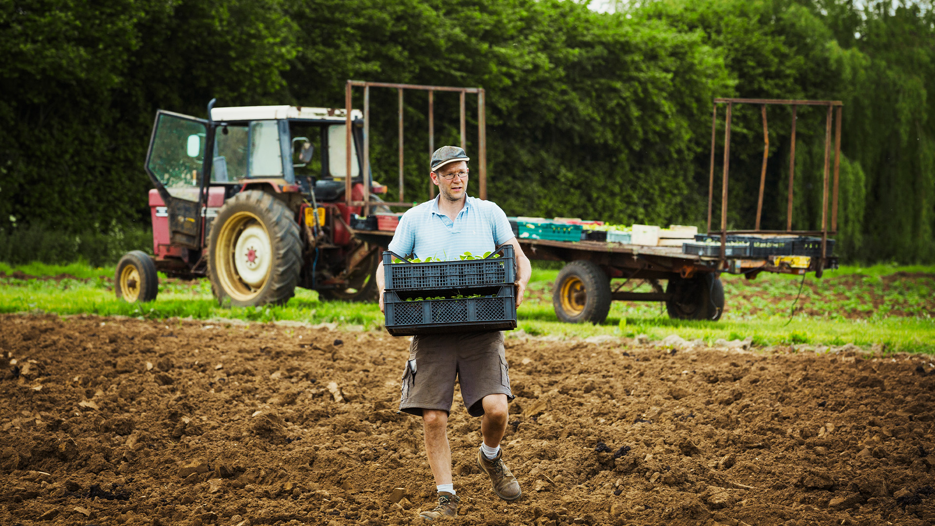 GroenLinks bezorgd over Parkinson onder Limburgse boeren - RTV Parkstad